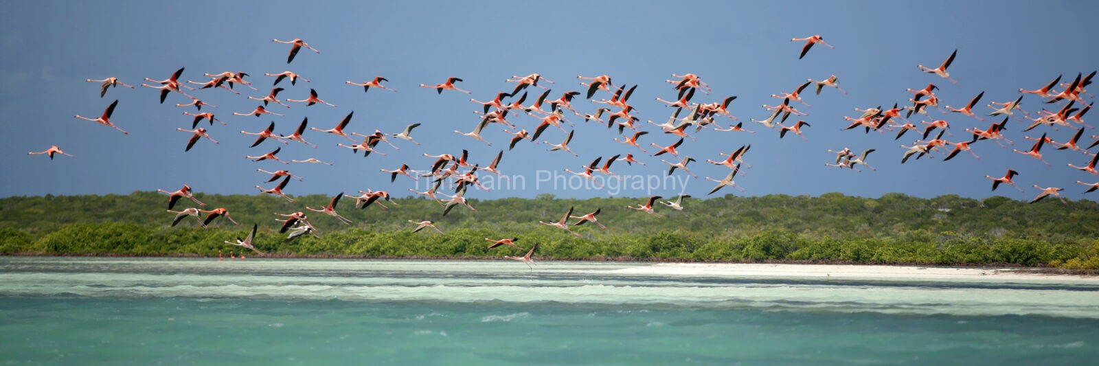 Fine Art Gallery - Tim Rahn Photography