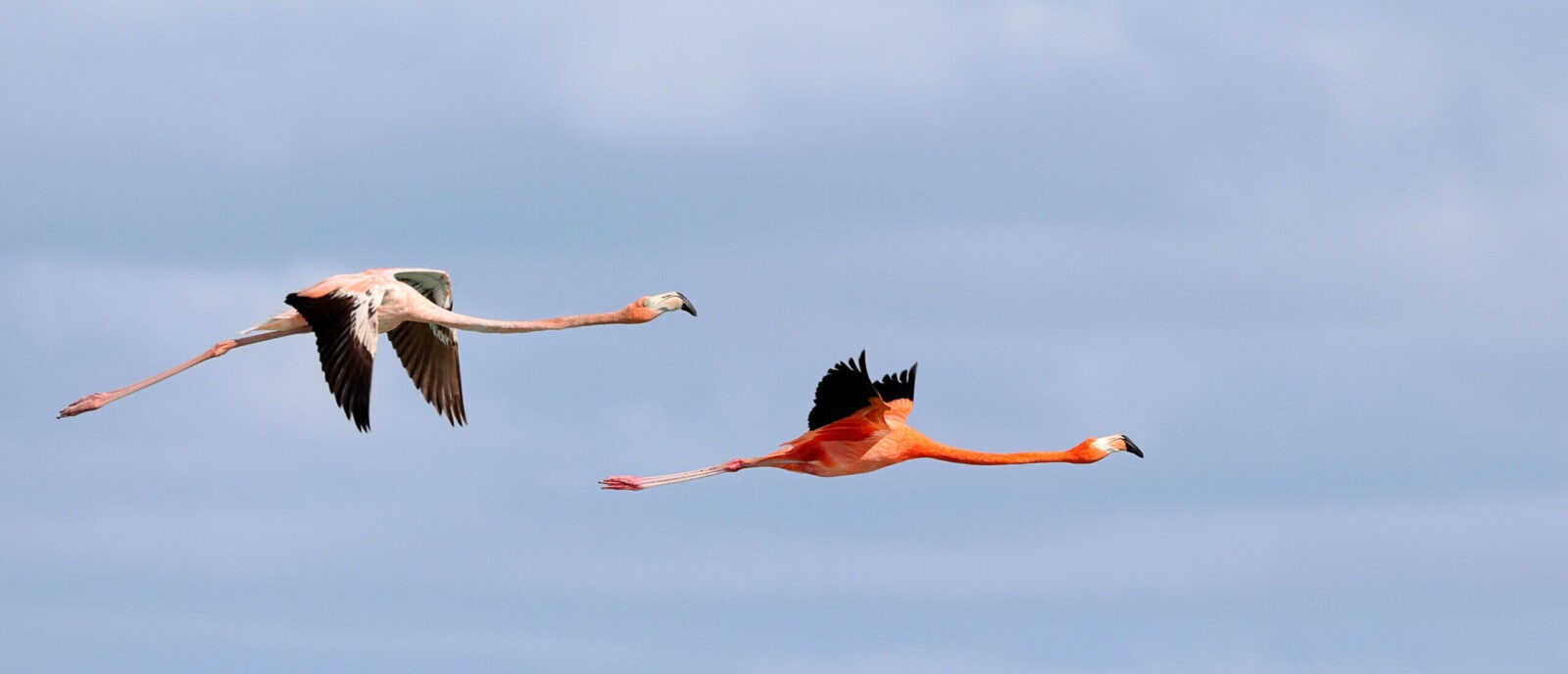 Book - Tim Rahn Photography