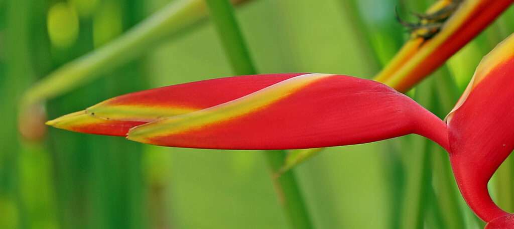 Terms and Conditions - Tim Rahn Photography