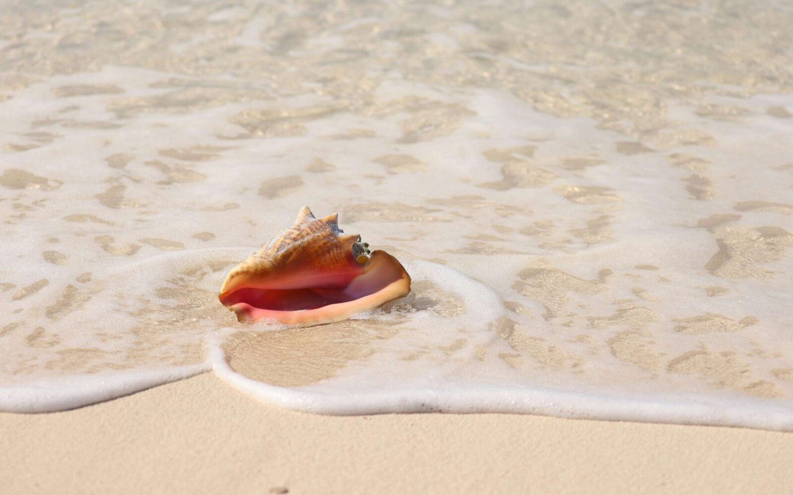 Process - Tim Rahn Photography